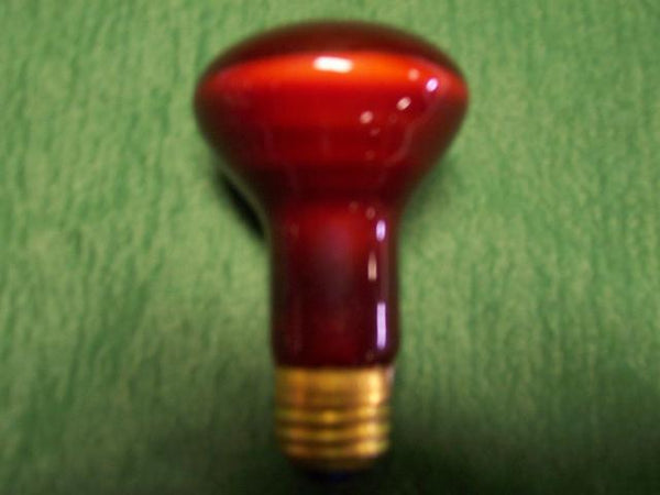 50W Medium Base Reflector Bulb - Red 120 VOLT – My Lamp Parts